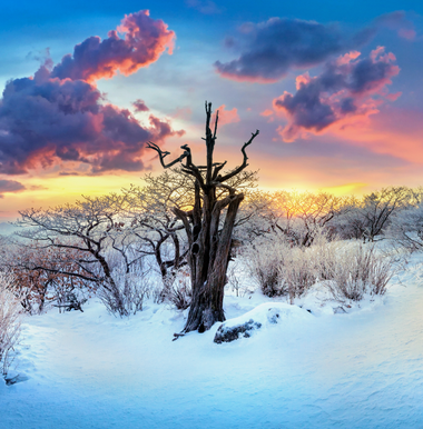 720-VR在线编辑器